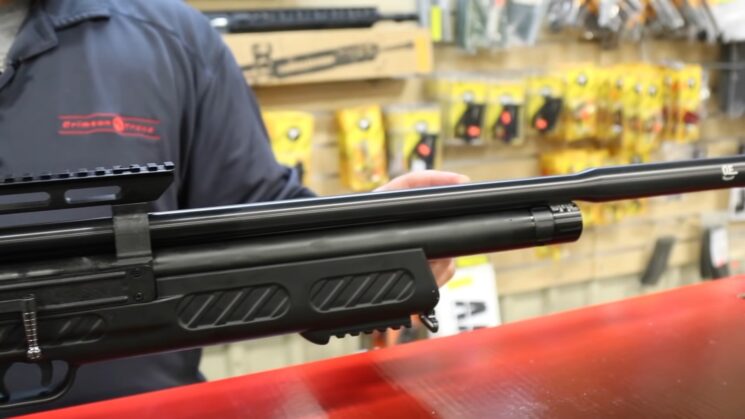 15 Best Air Rifles 2024 - Small Animal Hunting & Practice