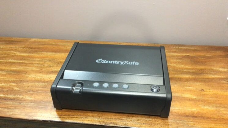 12 Best Sentry Gun Safes 2024 - Top Features, Pros & Cons