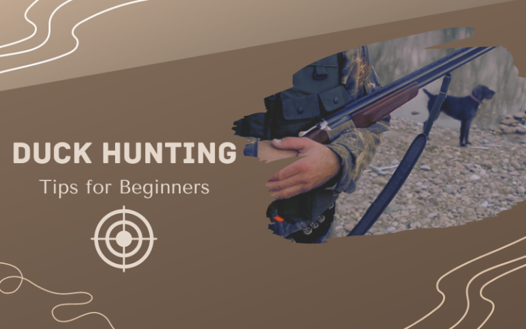 Duck Hunting - Tips for Beginners