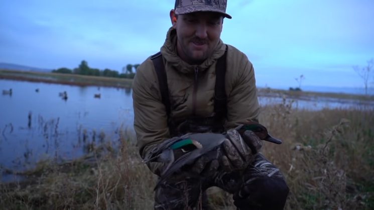 Duck Hunting - Tips for Beginners