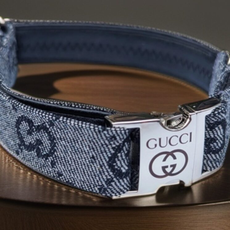 Are Designer Dog Collars More About Style or Functionality? - Authority ...